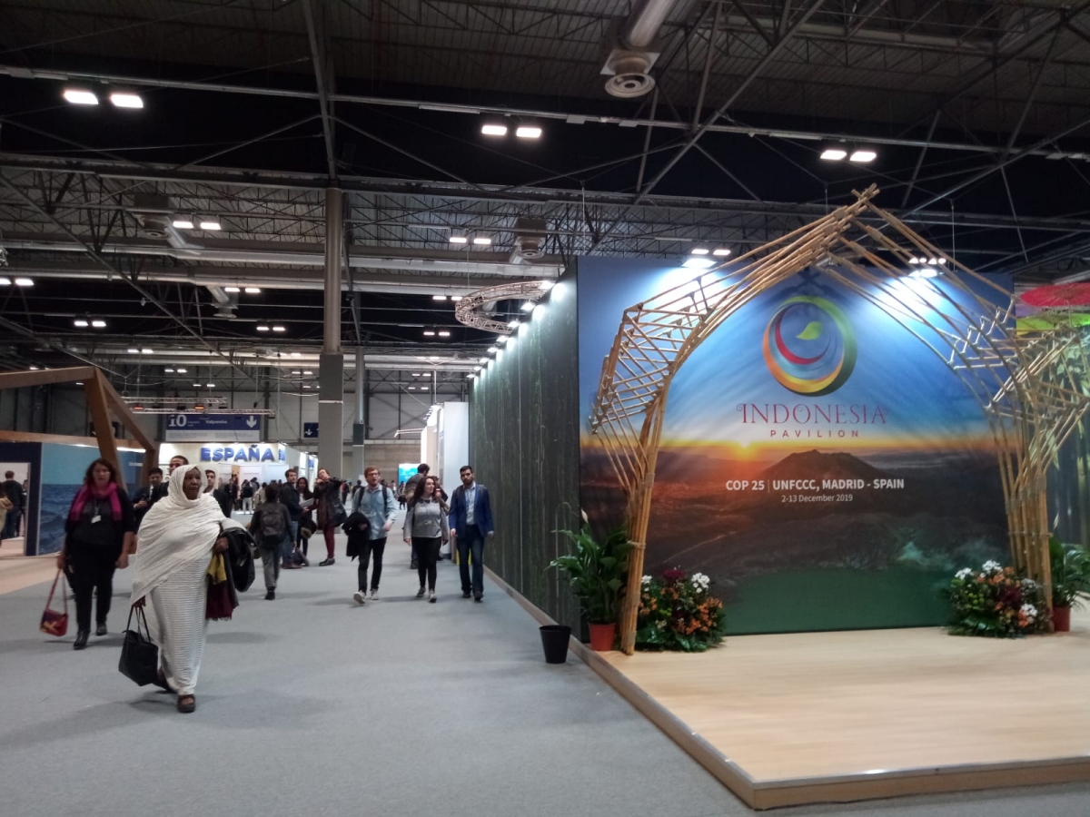 Chronicles From the Field: COP 25 | Sciences Po CERI